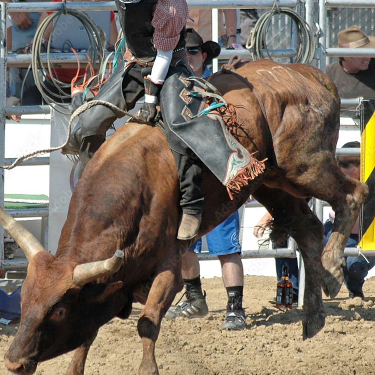 Bull Riding Gear for Beginners & Pros | Rodeo Hard