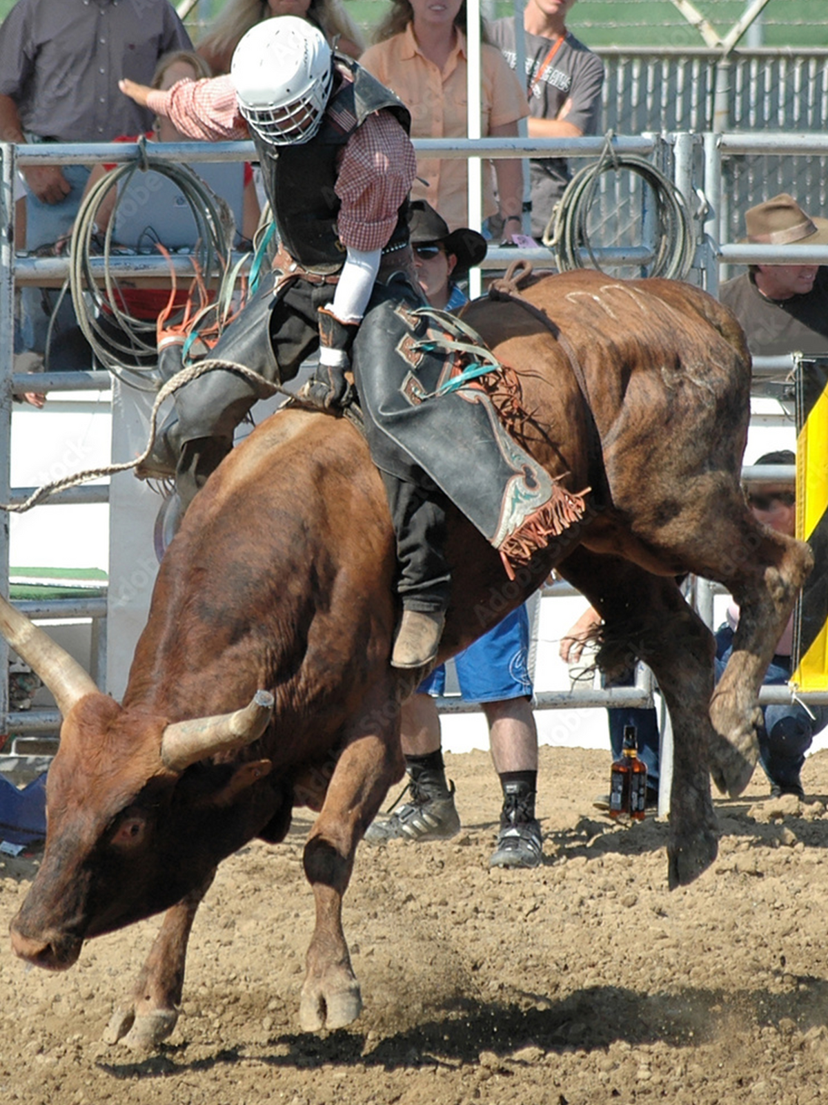 Bull Riding Gear for Beginners & Pros | Rodeo Hard
