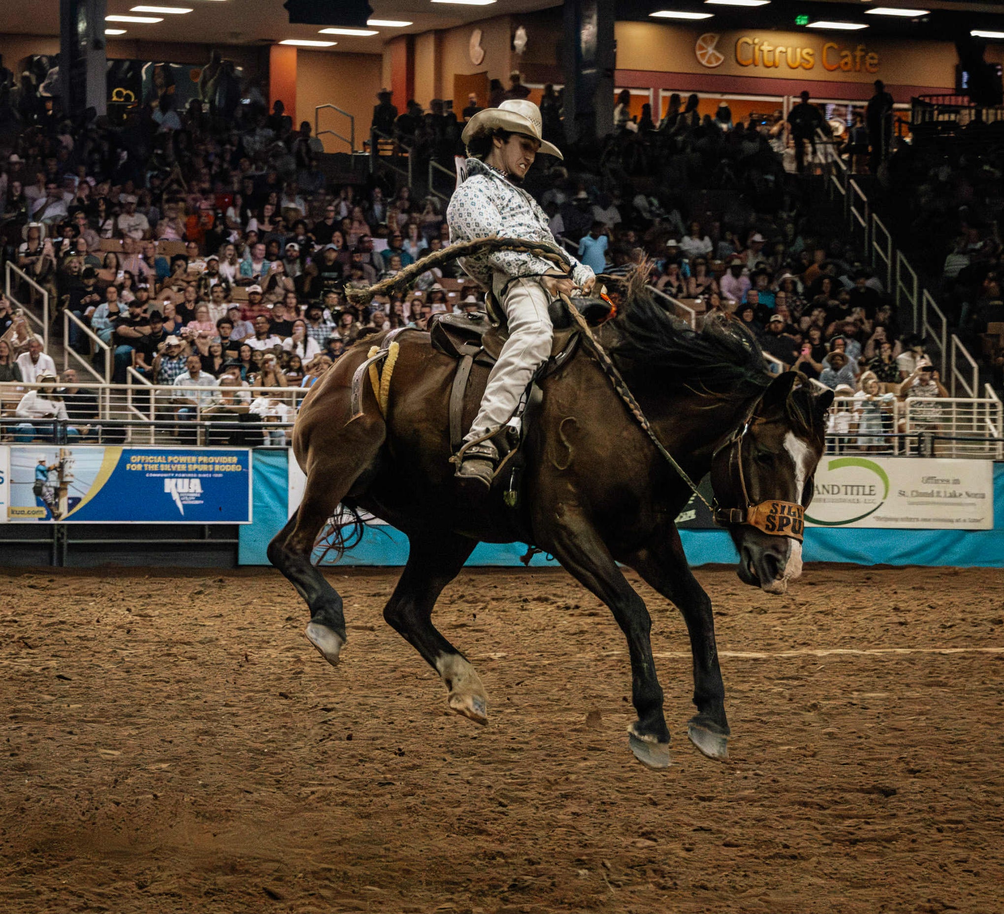 Rodeo Hard Western Tack & Rodeo Gear